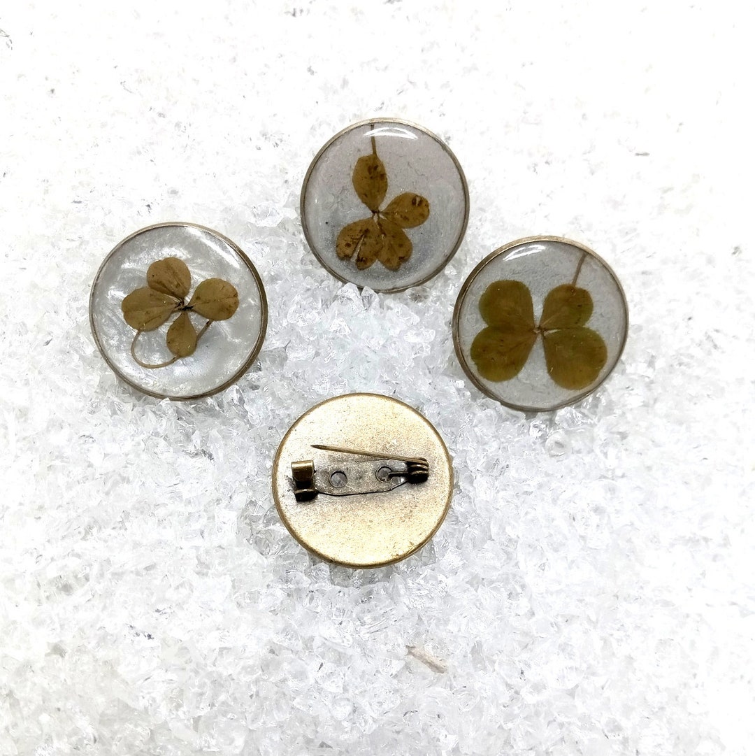 Real Clover Lucky Charm Shamrock Brooch Jewelry Genuine Four Leaf ...