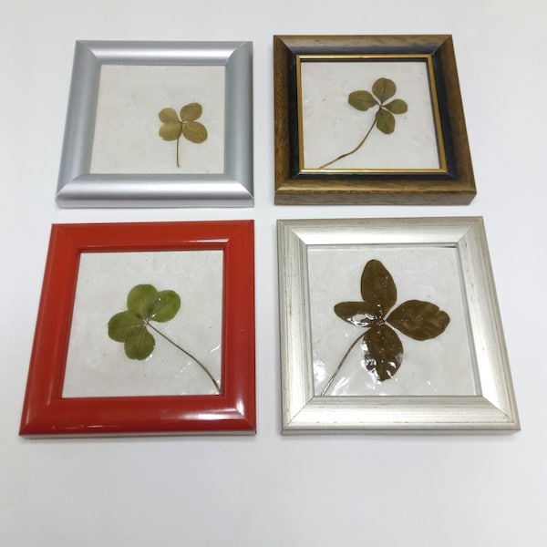 Clover Decor - Etsy