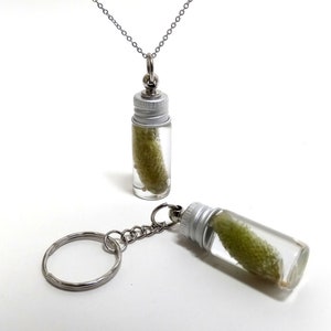 Dill Pickle Jar Pendant Gift for Pickle Lovers Pickleball Keychains Fun ...