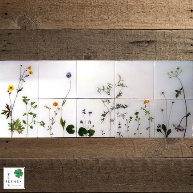 Herbarium Tiles With Real Dry Plants Spring Meadow Collection ...
