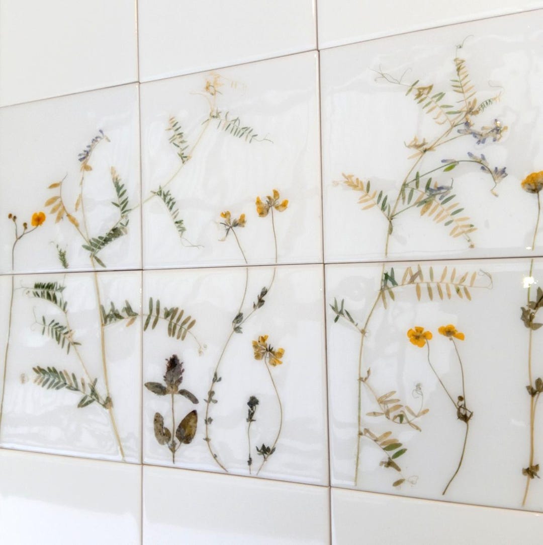 Herbarium Tiles With Real Dry Plants Spring Meadow Collection ...