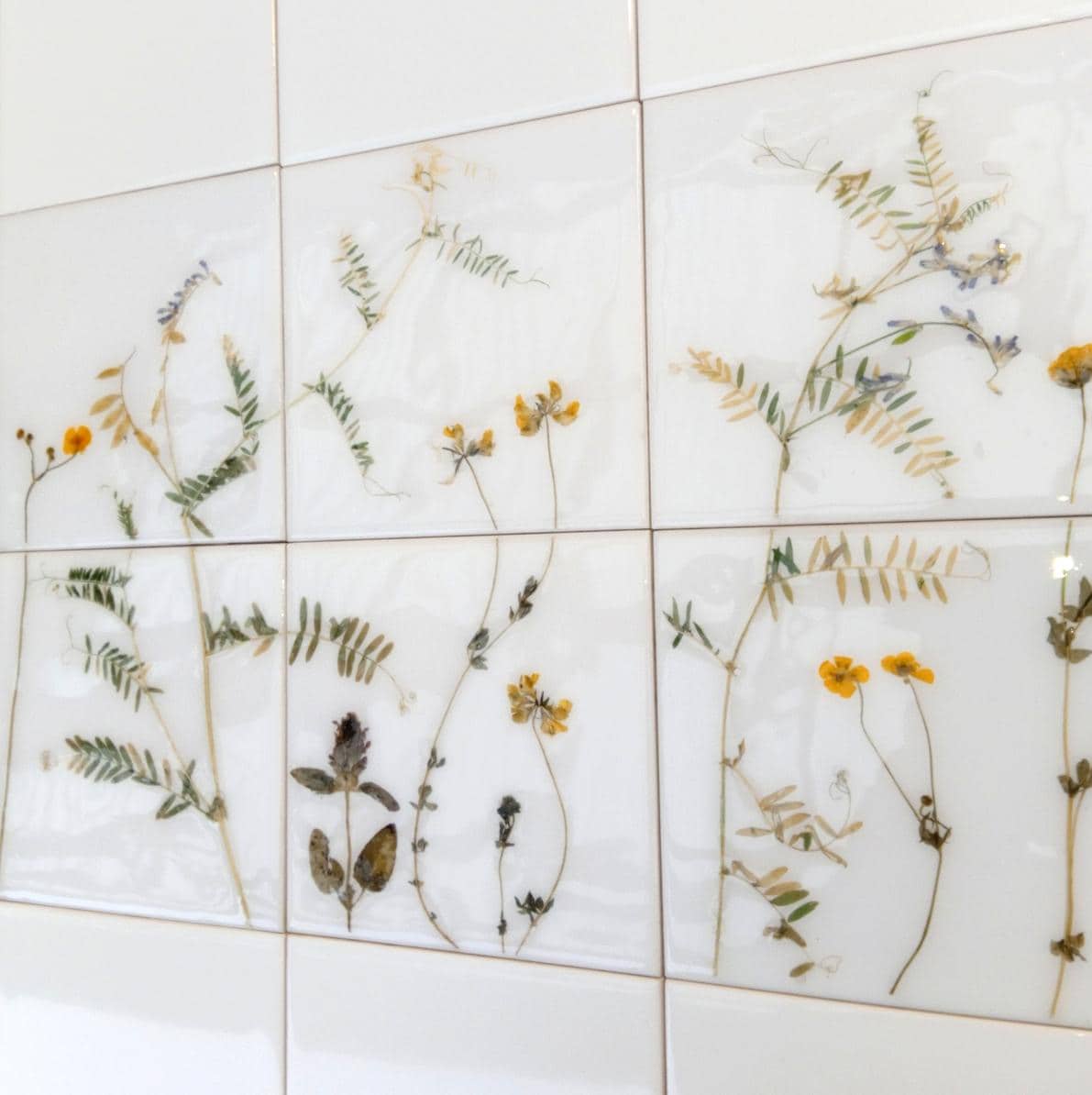 Herbarium Tiles With Real Dry Plants Spring Meadow Collection ...