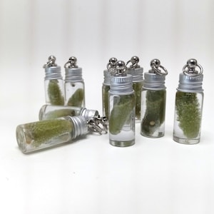 Dill Pickle Jar Pendant Gift for Pickle Lovers Pickleball Keychains Fun ...