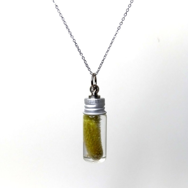 Dill Pickle Jar Pendant Gift for Pickle Lovers Pickleball Keychains Fun ...
