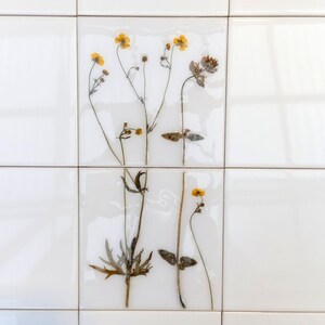 Herbarium Tiles With Real Dry Plants Spring Meadow Collection ...