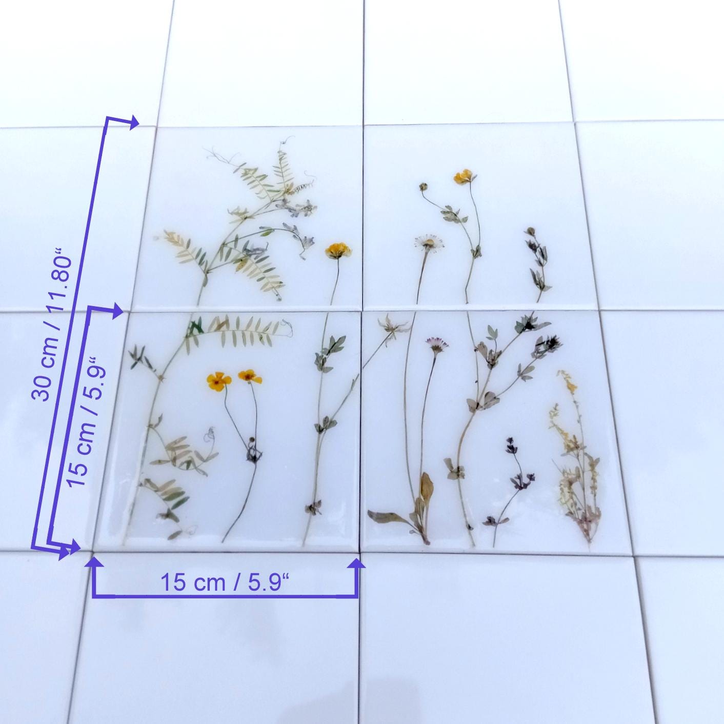Herbarium Tiles With Real Dry Plants Spring Meadow Collection ...