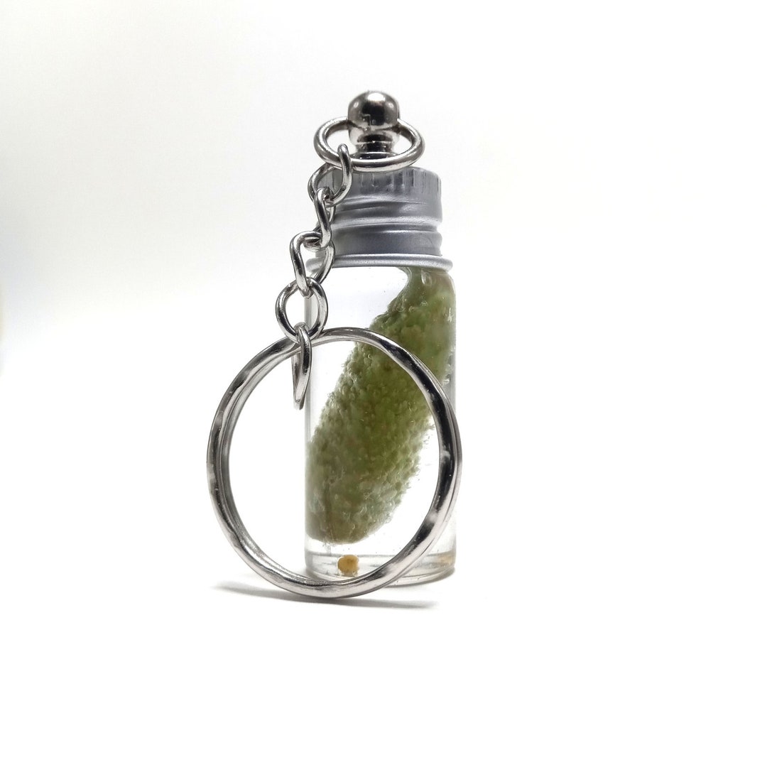 Dill Pickle Jar Pendant Gift for Pickle Lovers Pickleball Keychains Fun ...