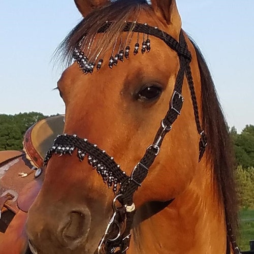 Stunning Hand Braided Bridle With Beaded Browband and - Etsy