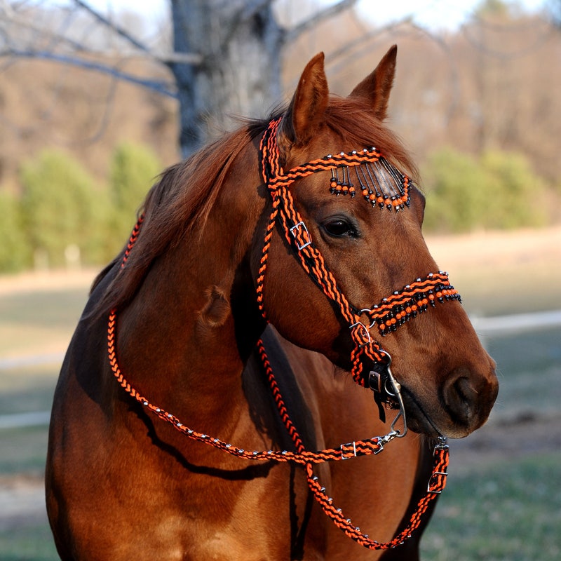 Rope Bridle - Etsy
