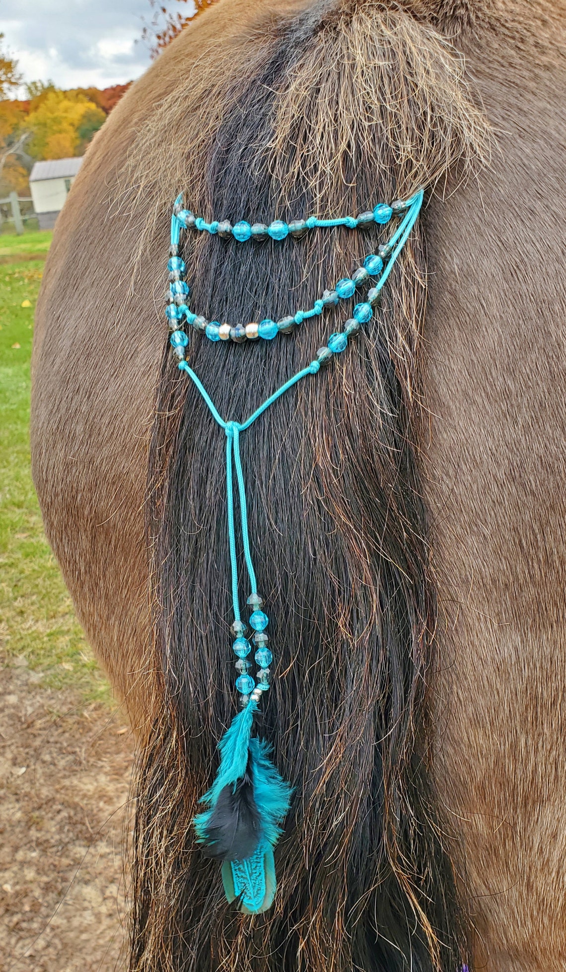 Gorgeous Mane and Tail Beads With Feathers!! for Horses! Bling Tack ...