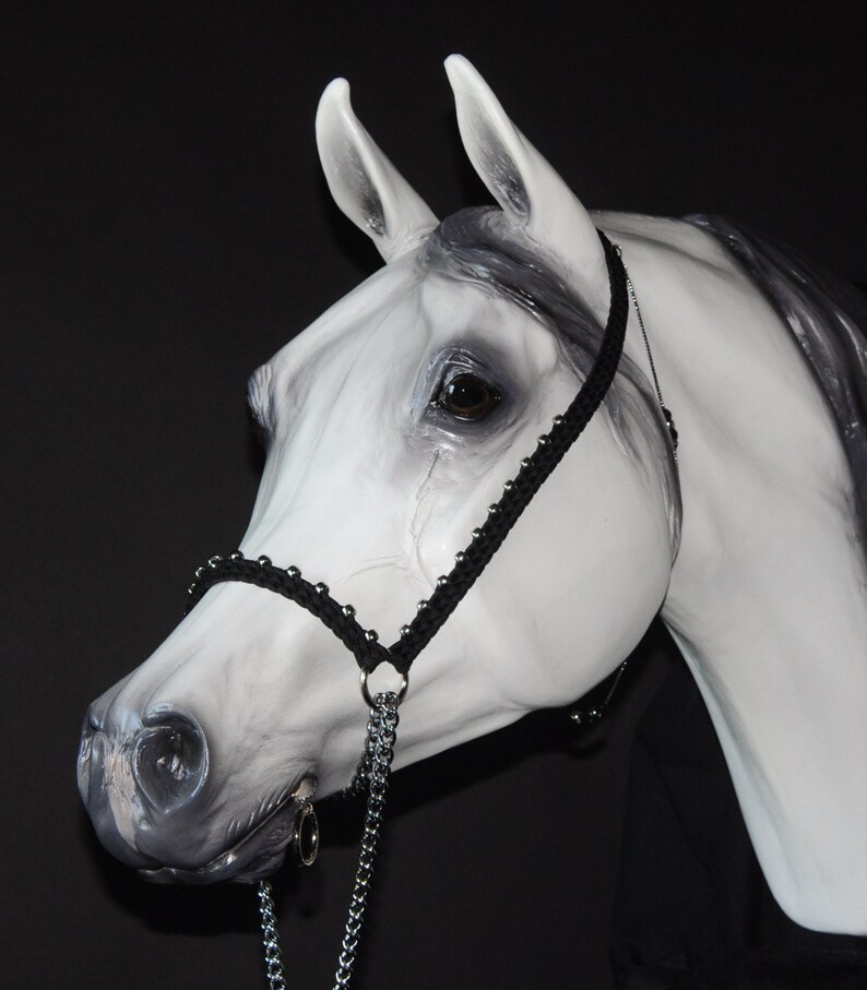 Hand Braided Arabian Style Show Halter Horse Tack BLACK - Etsy