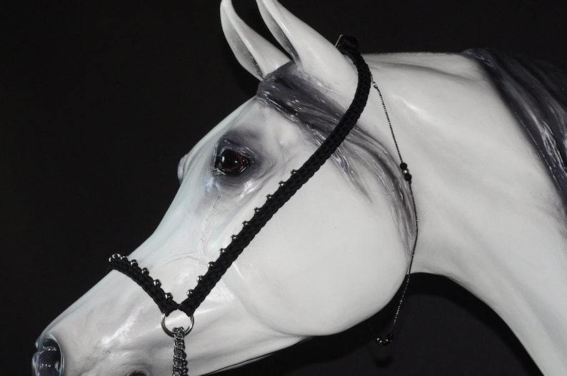 Hand Braided Arabian Style Show Halter Horse Tack BLACK - Etsy