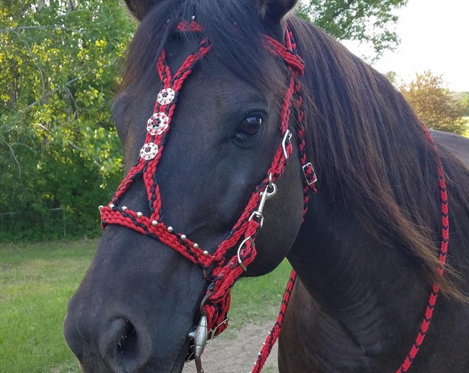 Stunning Hand Braided Halter-bridle Combo With BLING Conchos Horse Tack ...