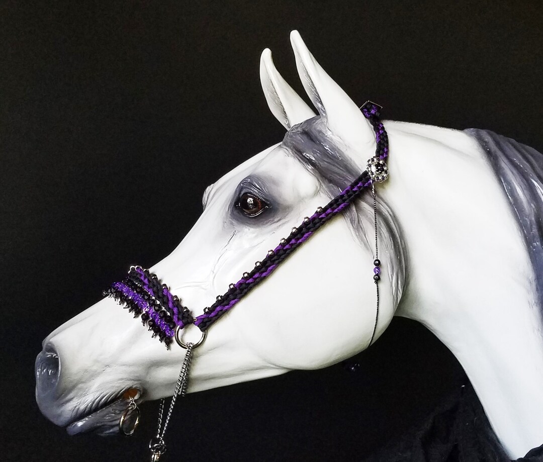 Hand Braided Arabian Style Show Halter, Horse Tack, BLACK / PURPLE W ...