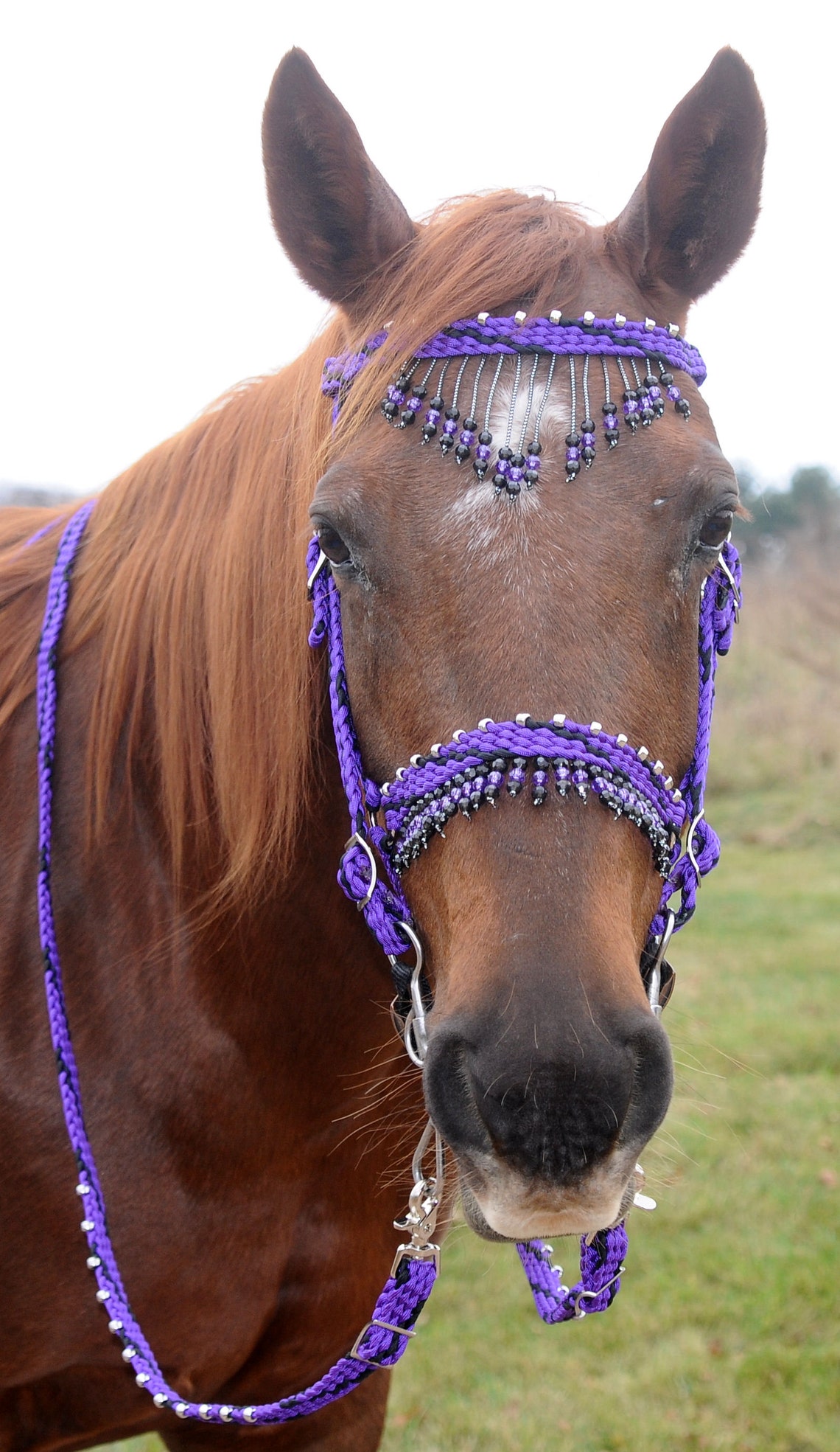 Stunning Hand Braided Bridle With Beaded Browband and - Etsy Australia