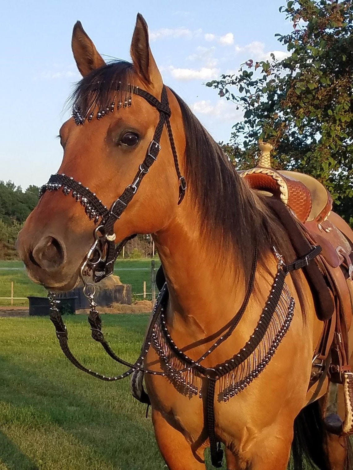 Stunning Hand Braided Bridle With Beaded Browband and Noseband, Horse ...