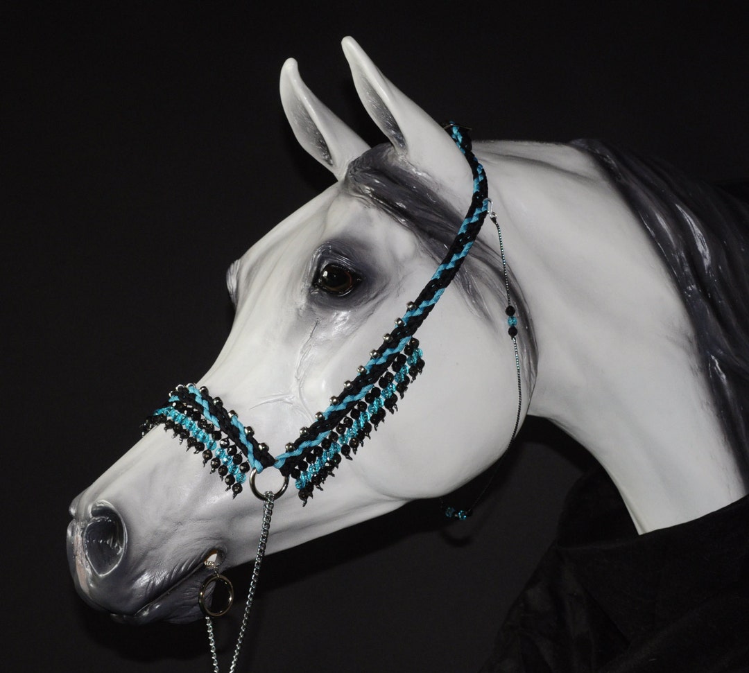 Hand Braided Arabian Style Show Halter, Horse Tack, BLACK / Turquoise ...