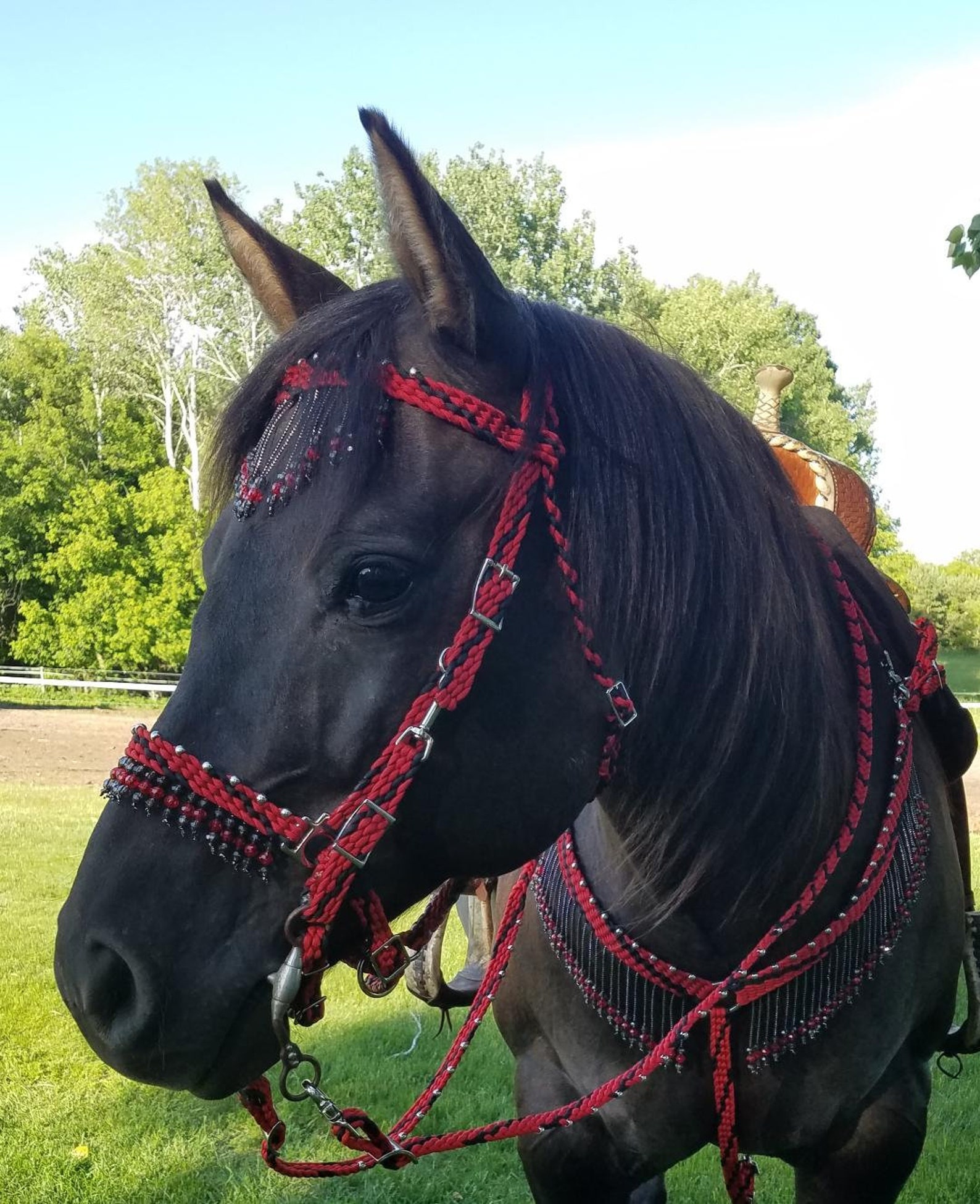 Stunning Hand Braided Halter-bridle Combo With Beaded Browband, Horse ...
