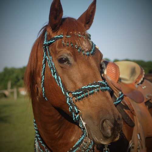 Stunning Hand Braided Bridle With Beaded Browband and - Etsy