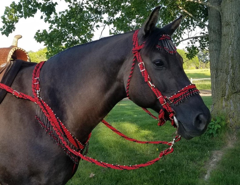 Stunning Hand Braided Halter-bridle Combo With Beaded Browband, Horse ...