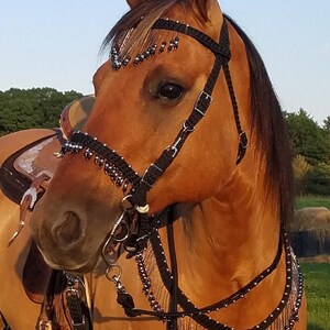 Stunning Hand Braided Bridle With Beaded Browband and Noseband, Horse ...