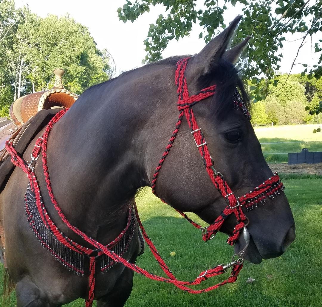 Stunning Hand Braided Halter-bridle Combo With Beaded Browband, Horse ...