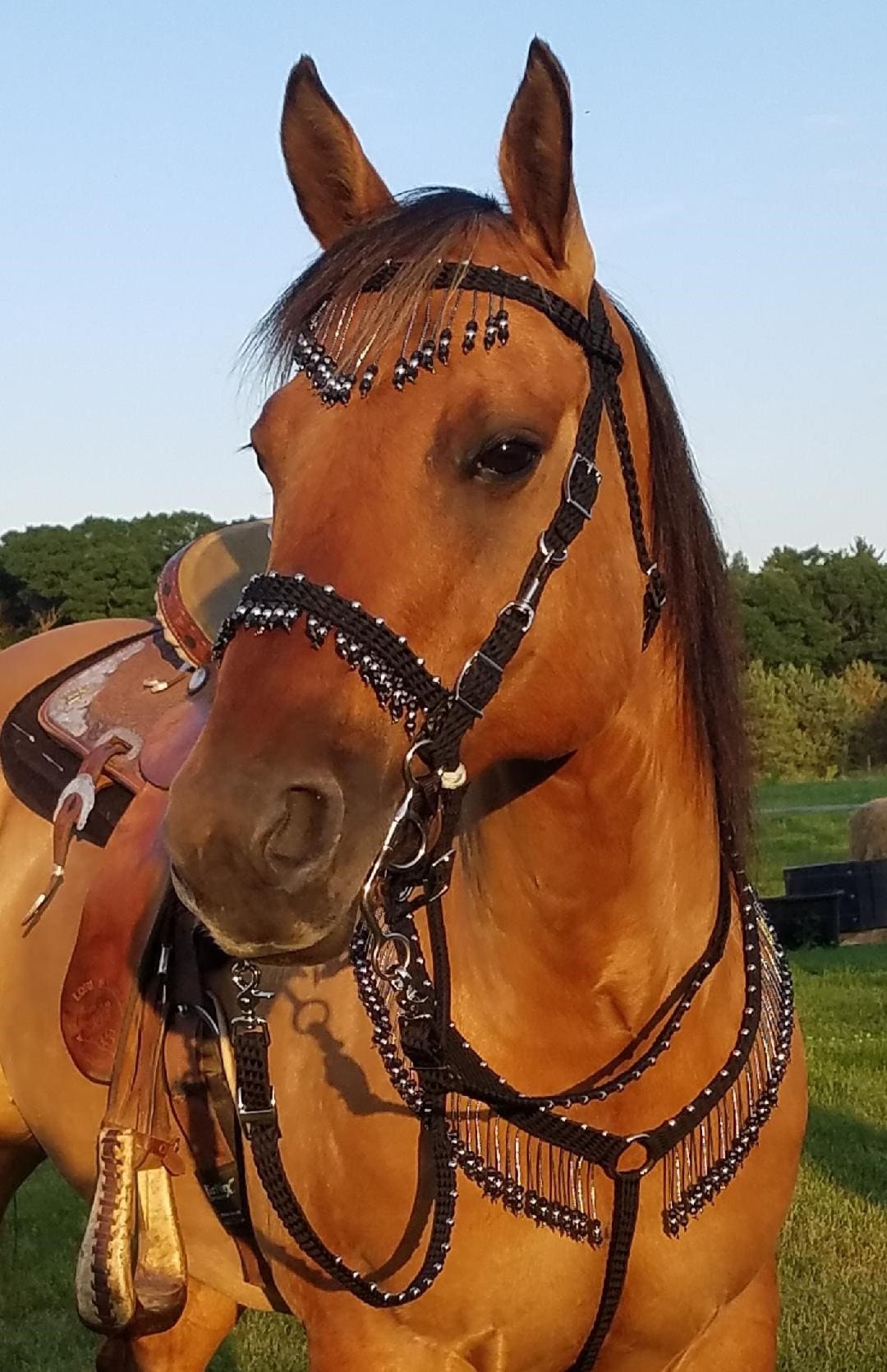 Stunning Hand Braided Bridle With Beaded Browband and Noseband, Horse ...