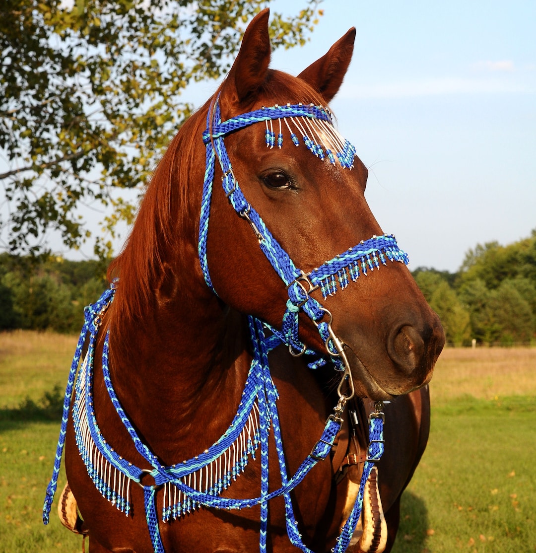 Stunning Hand Braided Bridle With Beaded Browband and Noseband, Horse ...