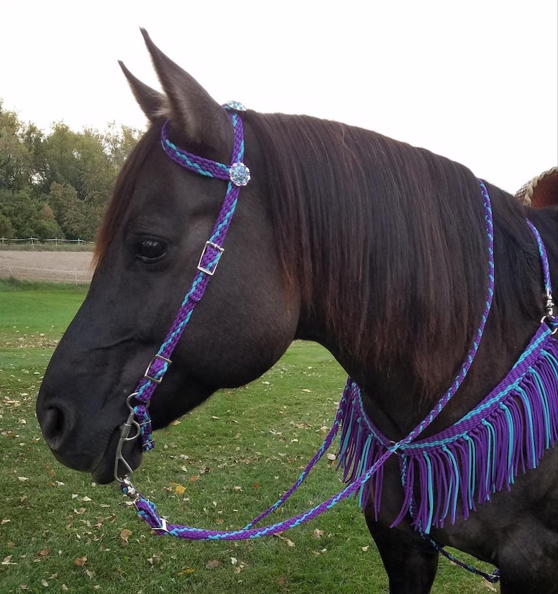 Stunning Hand Braided Headstall Reins Breast Collar | Etsy