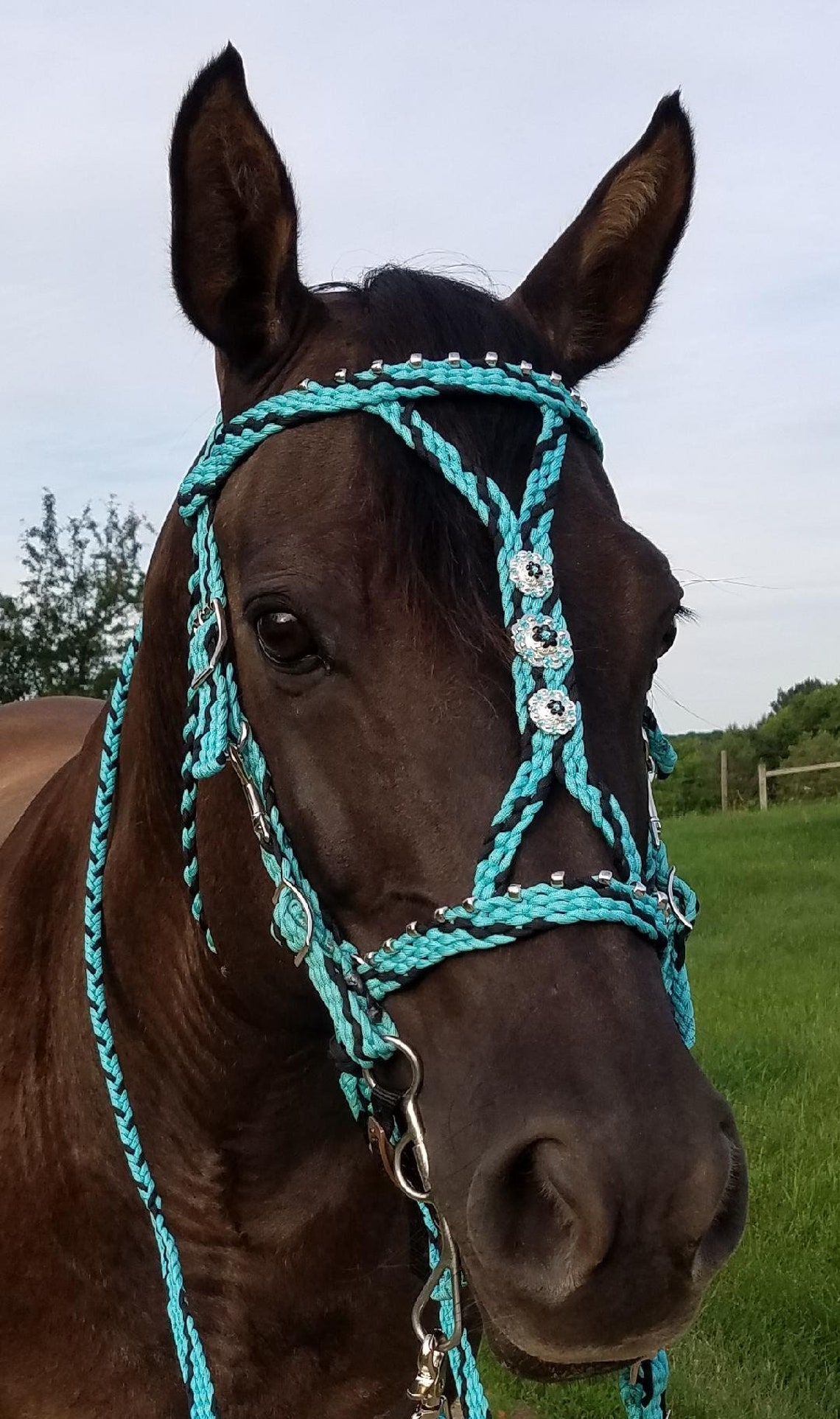 Stunning Hand Braided Halter-bridle Combo With BLING Conchos - Etsy