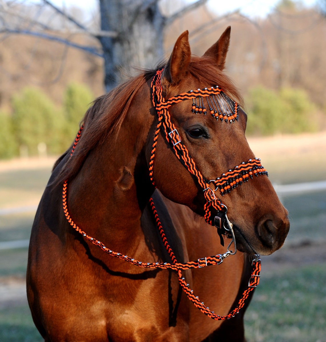 Stunning Hand Braided Bridle With Beaded Browband and Nose - Etsy Canada