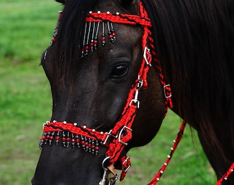Stunning Hand Braided Bridle With Beaded Browband and - Etsy