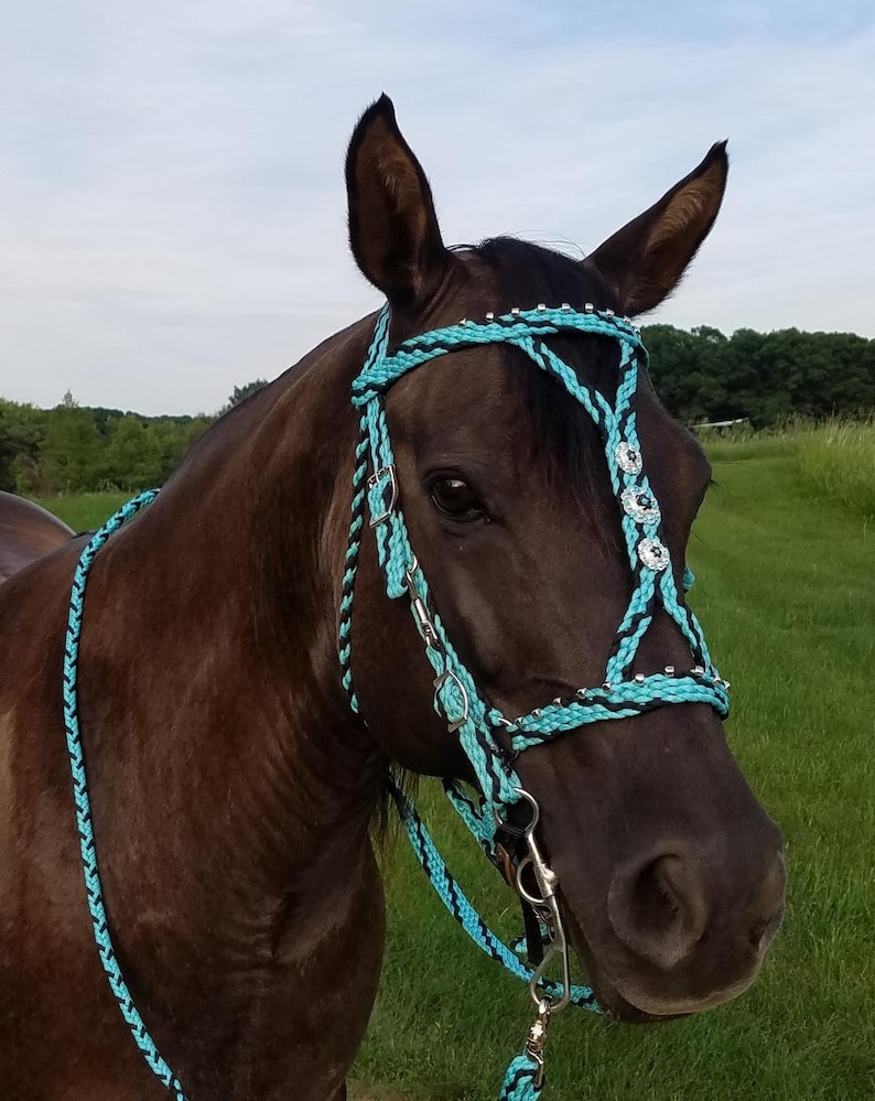 Stunning Hand Braided Halter-bridle Combo With BLING Conchos Horse Tack ...