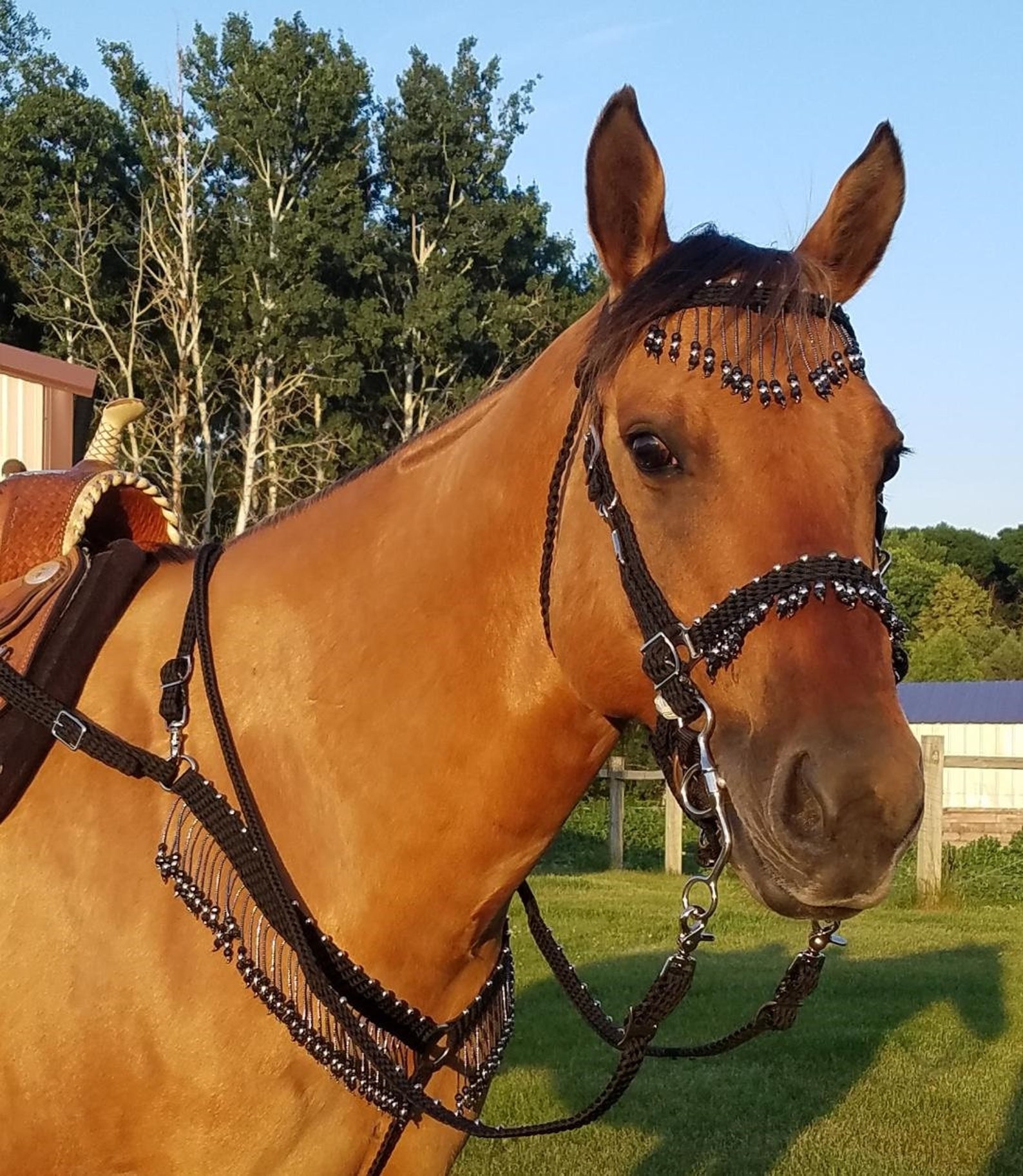Stunning Hand Braided Bridle with Beaded Browband and | Etsy