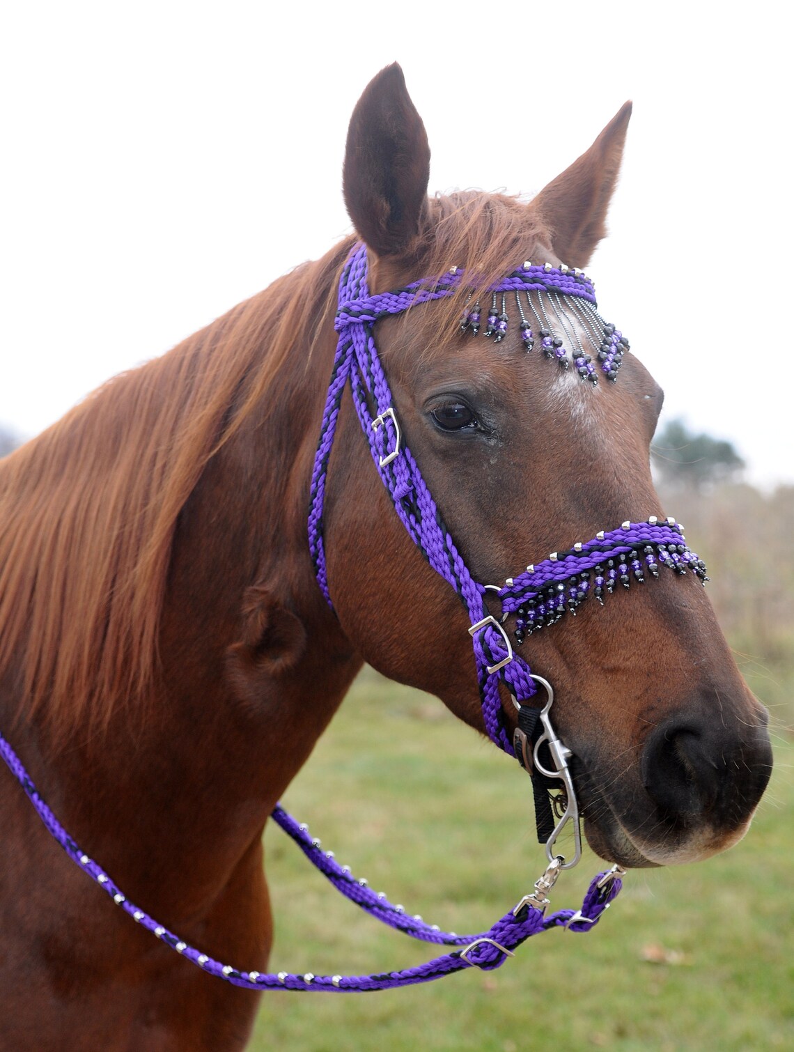 Stunning Hand Braided Bridle With Beaded Browband and - Etsy Australia