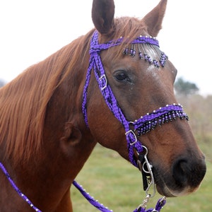 Stunning Hand Braided Bridle With Beaded Browband and - Etsy Australia