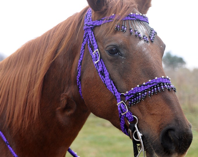Stunning Hand Braided Bridle With Beaded Browband and - Etsy Australia