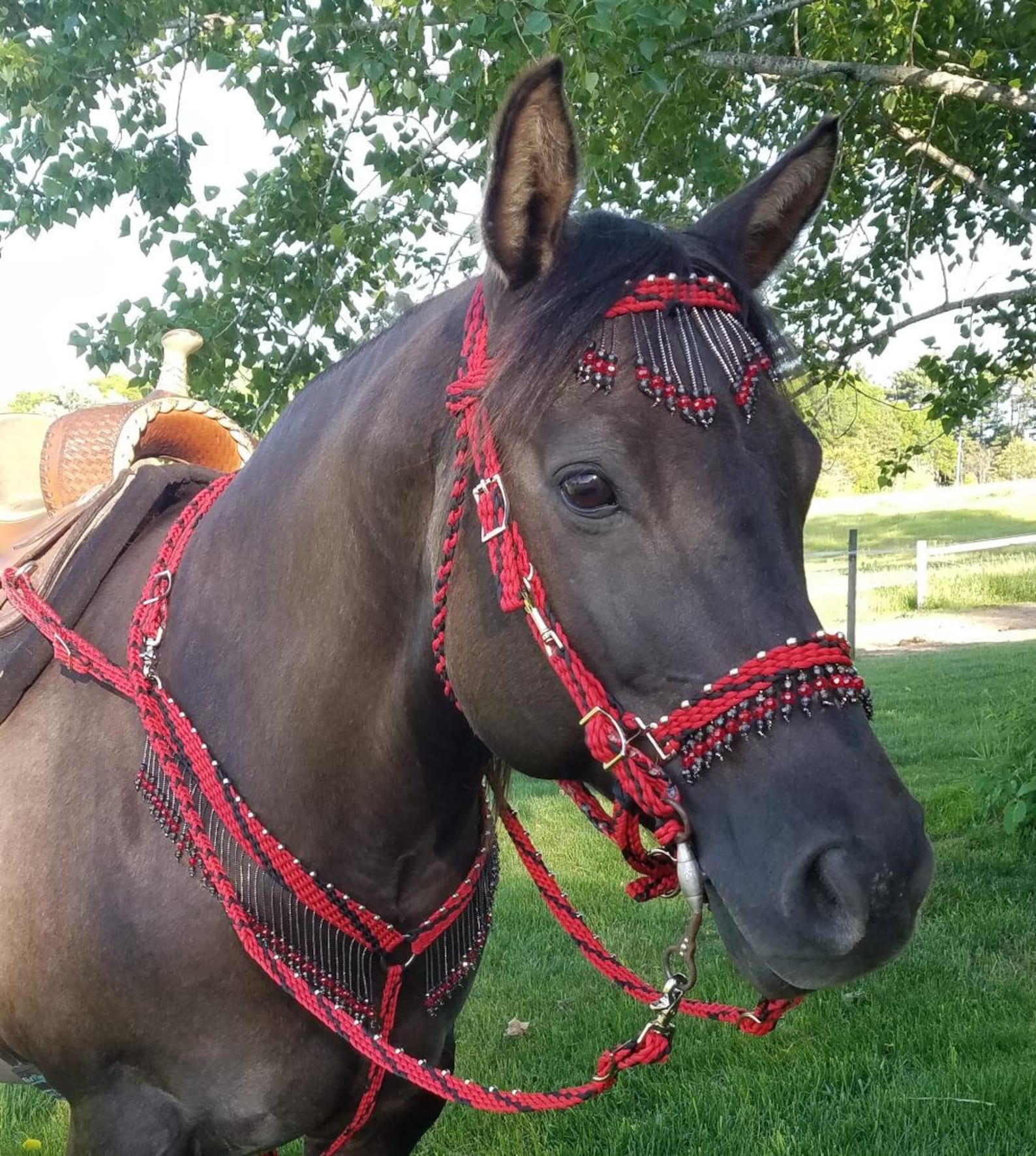 Stunning Hand Braided Halter-bridle Combo With Beaded Browband, Horse ...