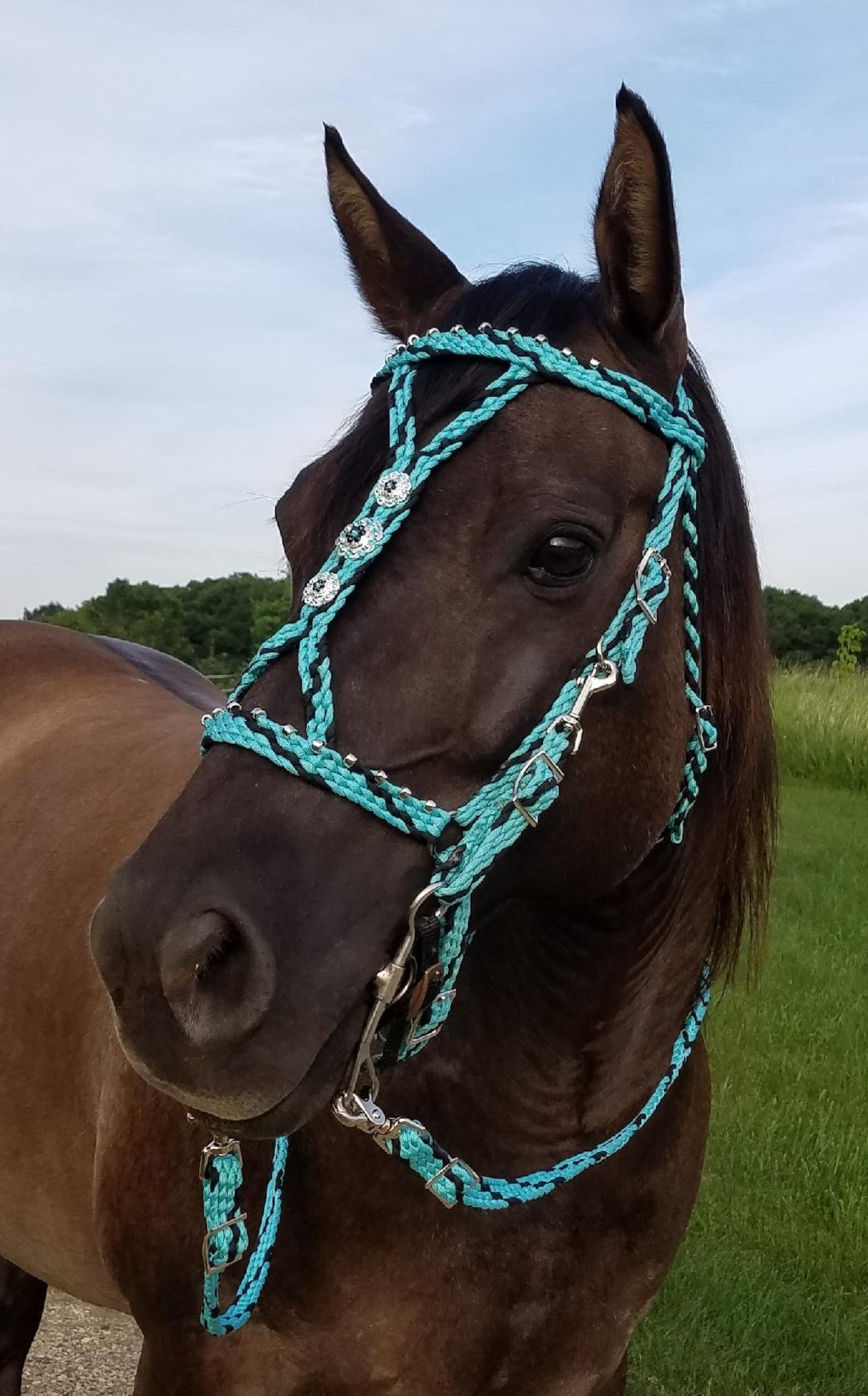 Stunning Hand Braided Halter-Bridle Combo with BLING Conchos | Etsy