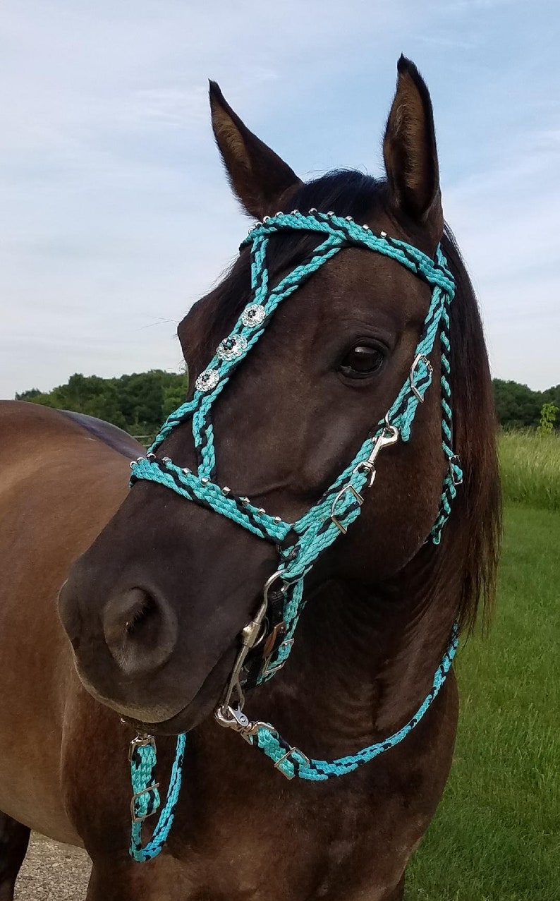 Stunning Hand Braided Halter-Bridle Combo with BLING Conchos | Etsy