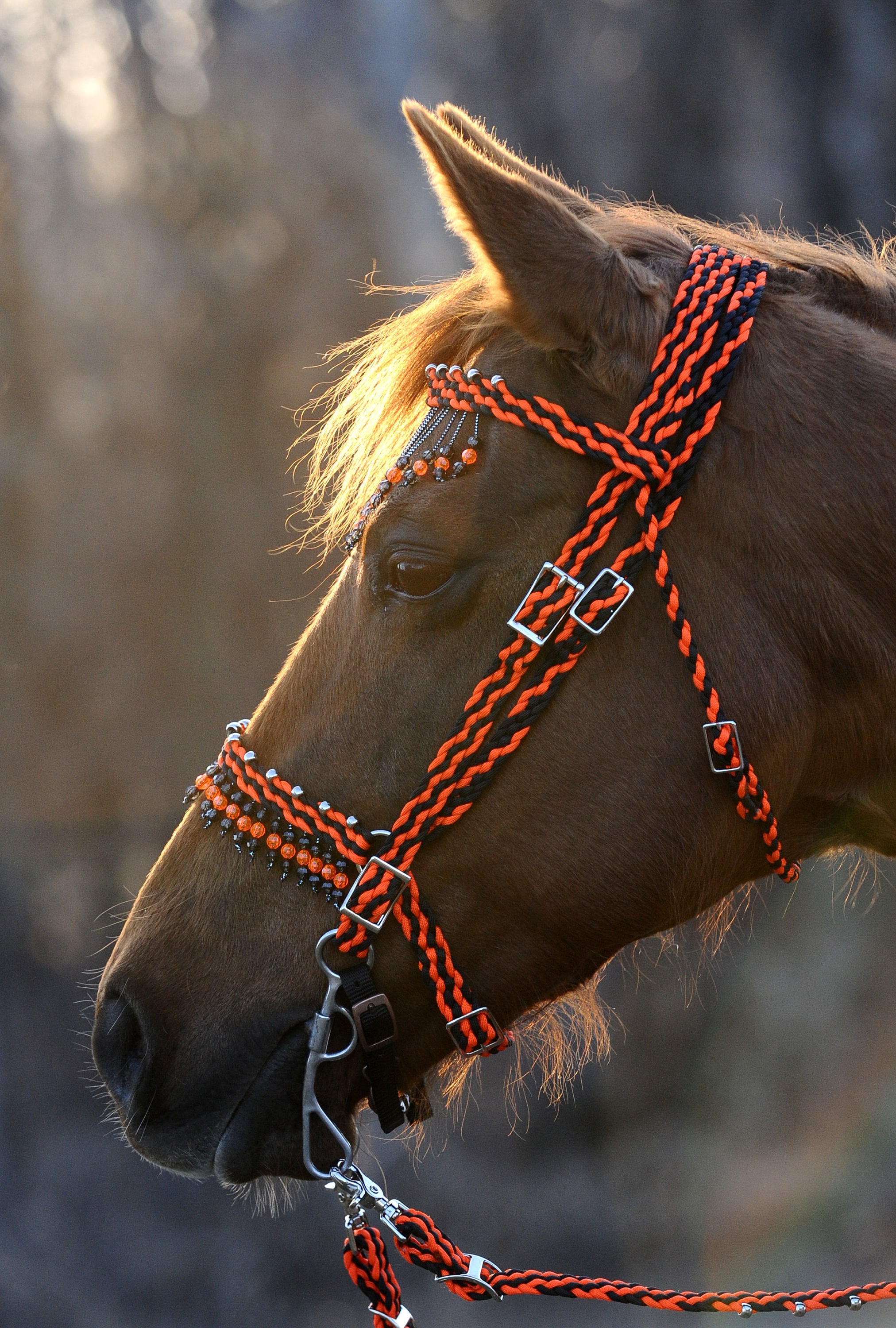 Stunning Hand Braided Bridle With Beaded Browband and Nose - Etsy Canada