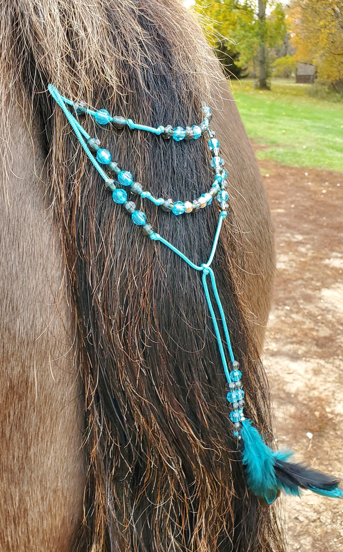 Gorgeous Mane and Tail Beads With Feathers!! for Horses! Bling Tack ...