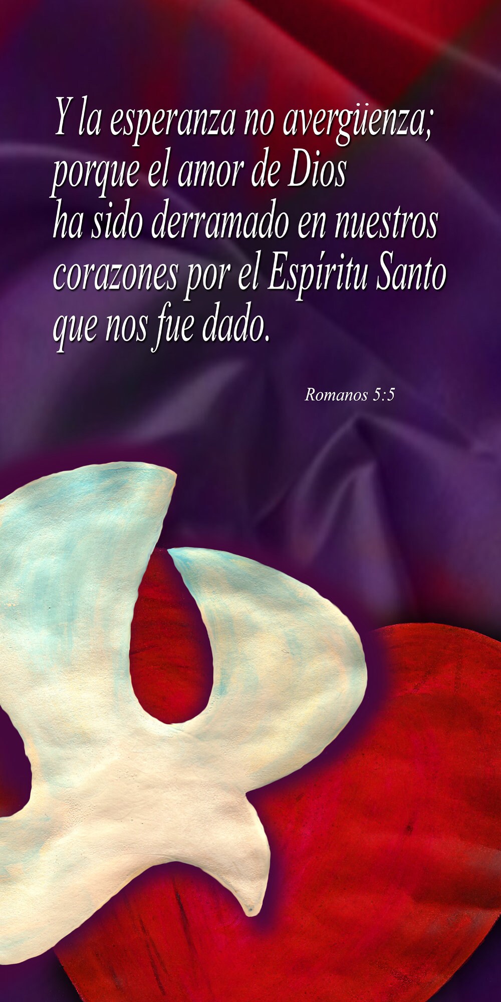 Now Hope Does Not Disappoint / Church or Personal Banners for Your Home ...