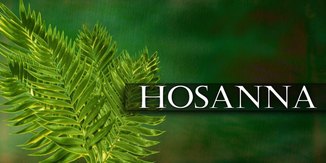 Hosanna BNH4896-G420-1 - Etsy