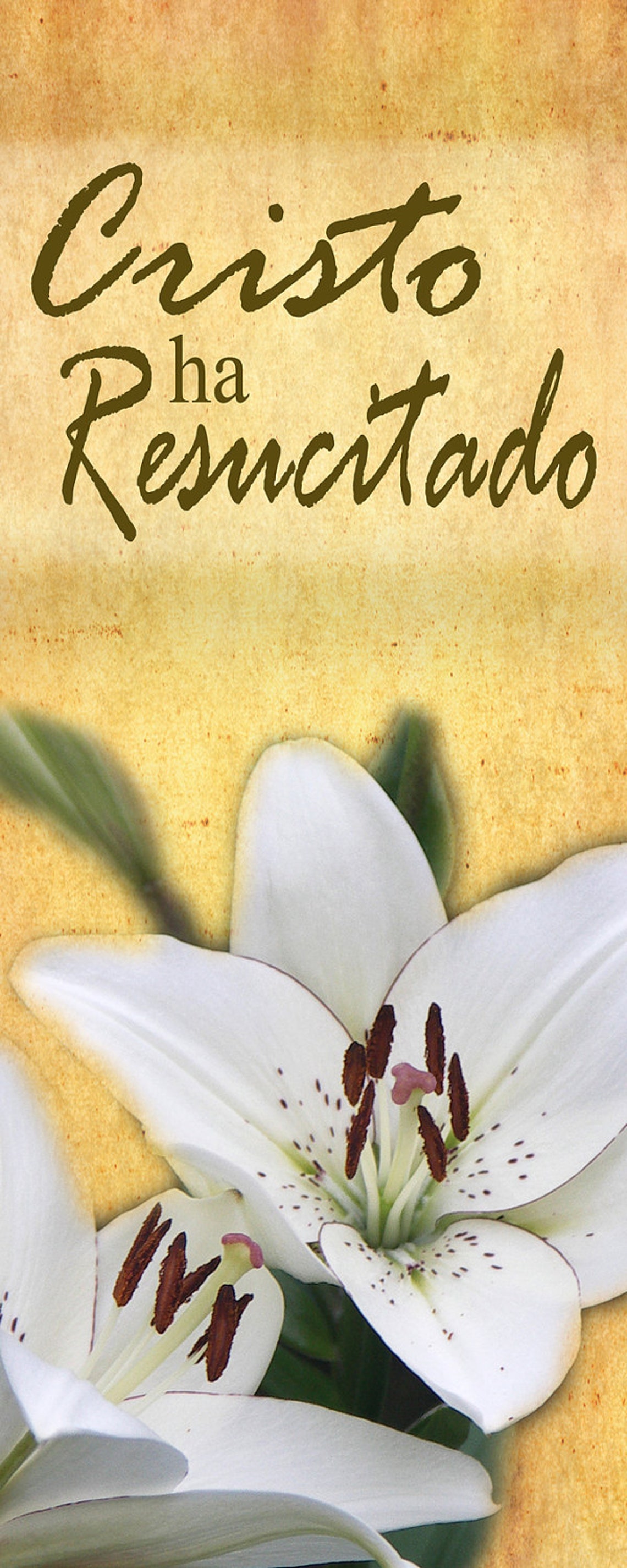 Easter Set A spanish / Set of 4 Banners G1215 - Etsy