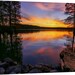 Stumpy Lake Virginia Beach, VA Sunset Canvas Print - Etsy