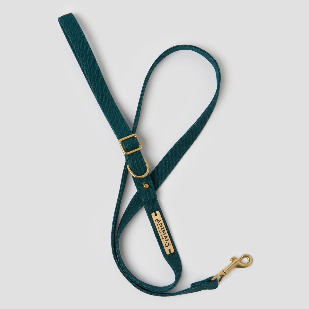 Forest Green Flat Dog Leash // Organic Cotton Dog Lead - Comfortable ...