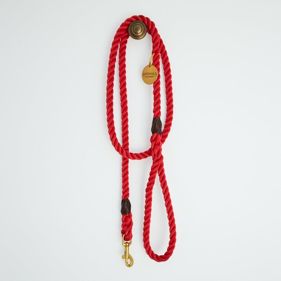 Red rope dog lead store