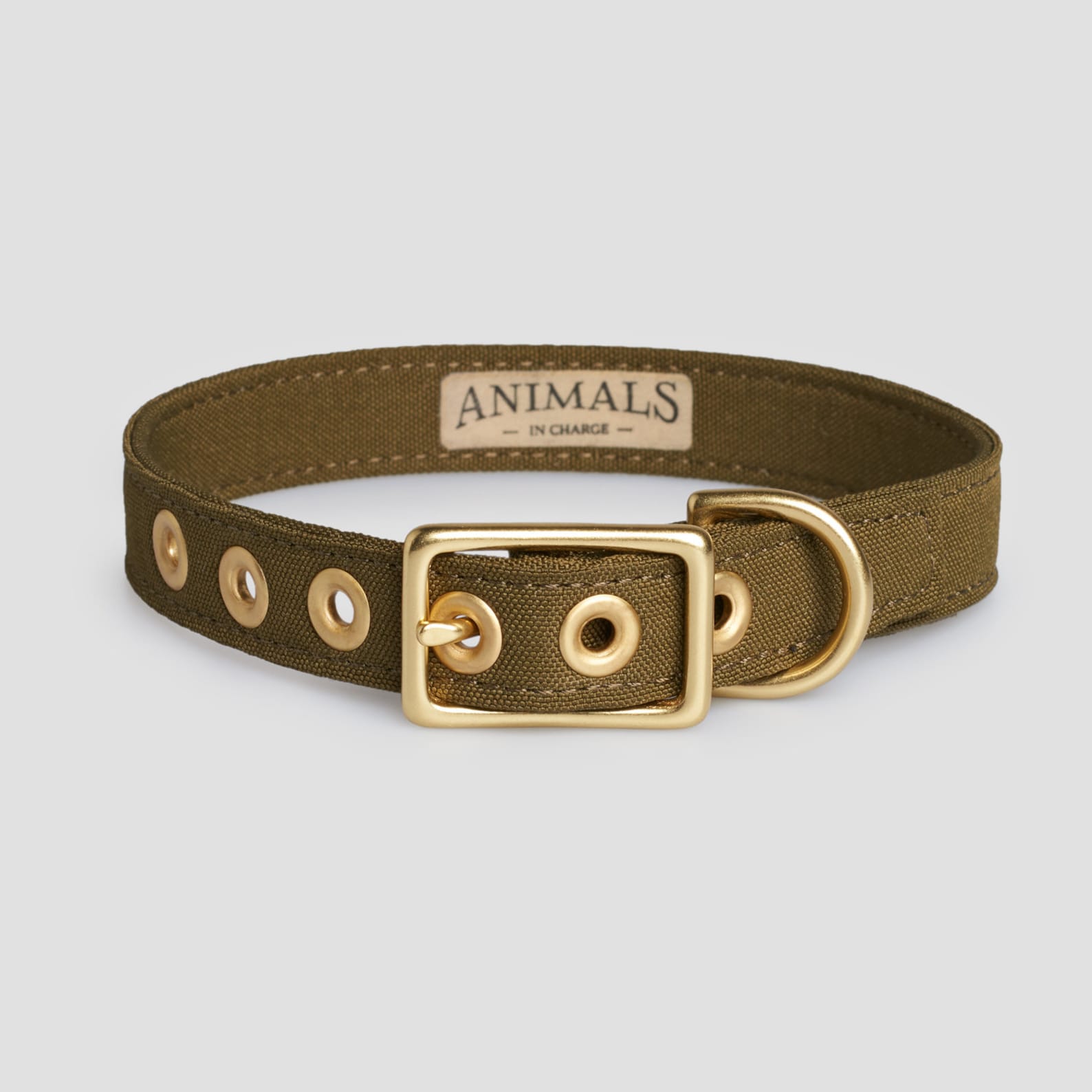 Olive Canvas Dog Collar - Recycled, Vegan, With Brass Buckle - Etsy