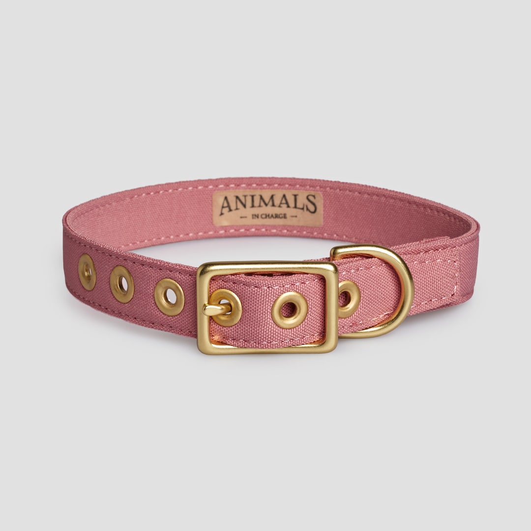 Dusty Pink + Brass Recycled Materials Dog Collar // Buckle Collar ...